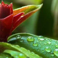 La magie de la collaboration – ChrisArt